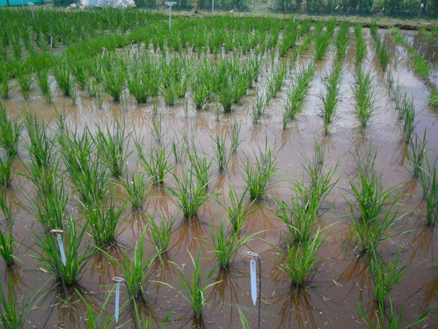 Johnson Lab | Alex Johnson